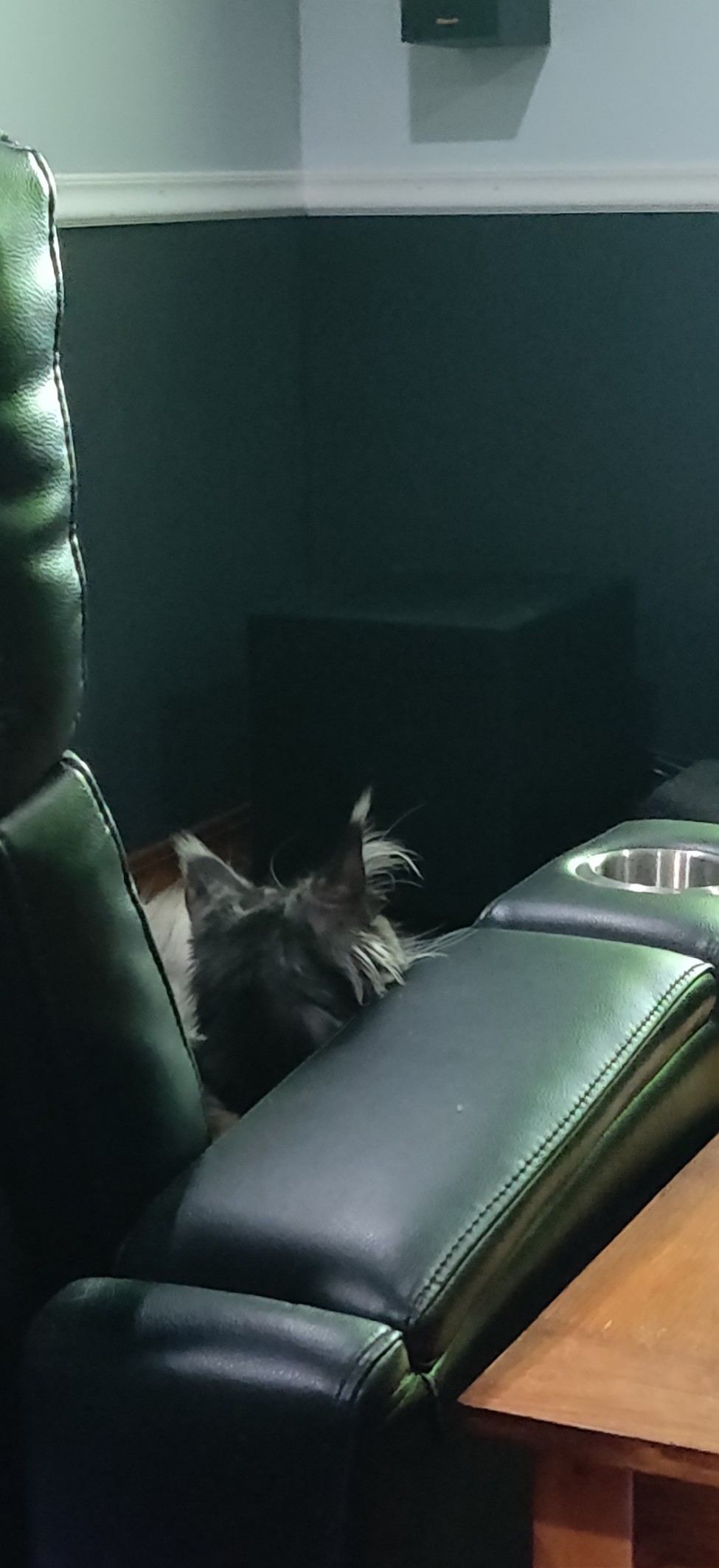 Karen Lopez 🌎👩‍💻🔒 (@DataChick@mstdn.ca) - Mastodon Canada