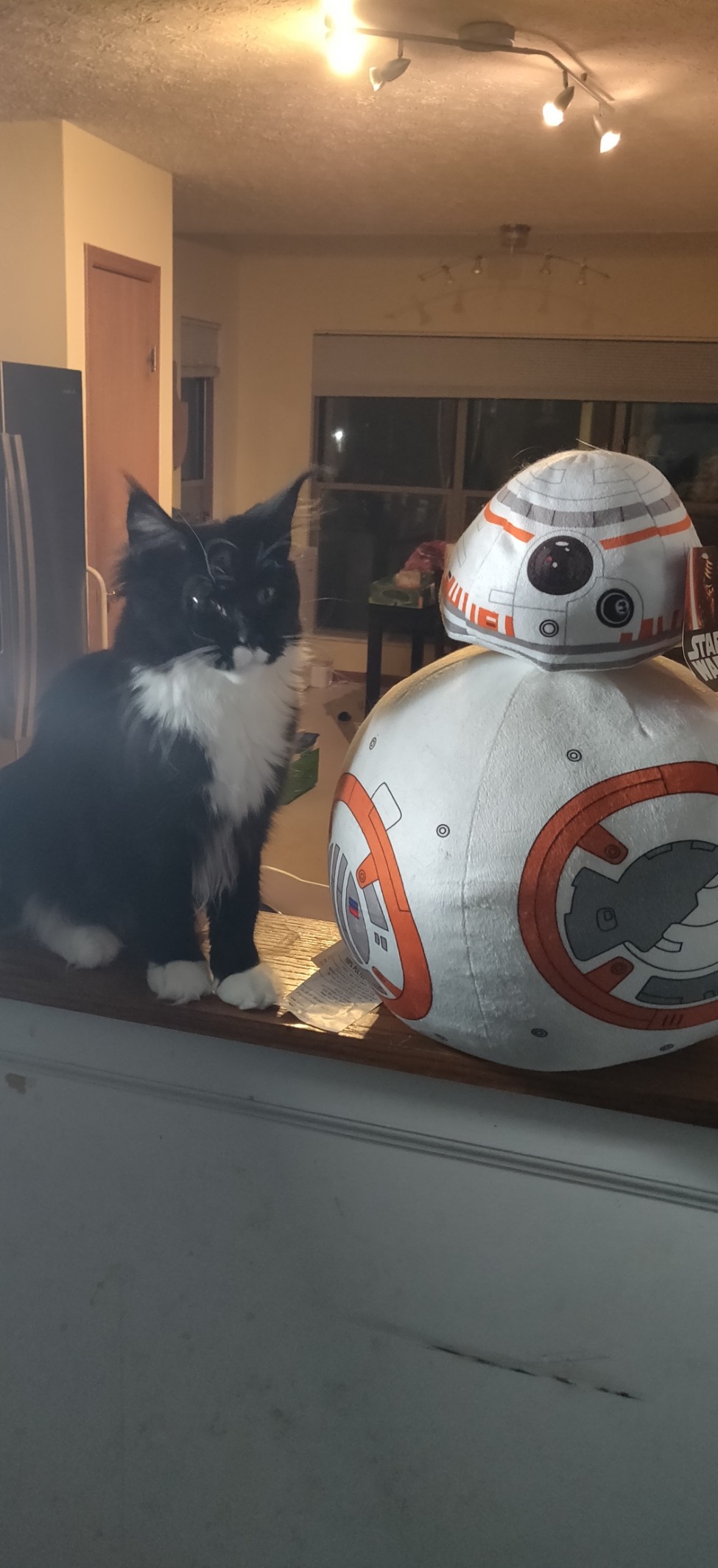 Karen Lopez 🌎👩‍💻🔒 (@DataChick@mstdn.ca) - Mastodon Canada