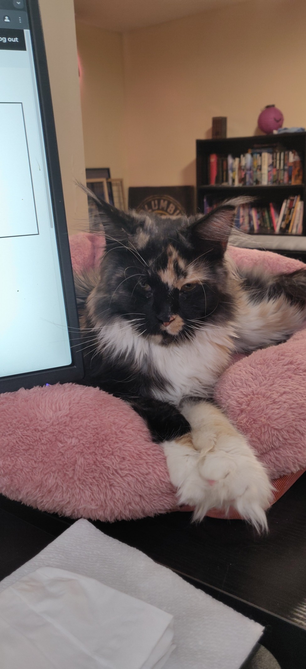 Karen Lopez 🌎👩‍💻🔒 (@DataChick@mstdn.ca) - Mastodon Canada